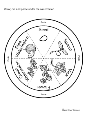 Watermelon Activities | Watermelon Craft | Life Cycle of a Watermelon ...