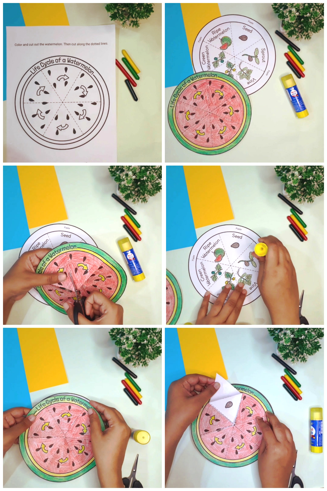 Watermelon Activities | Watermelon Craft | Life Cycle of a Watermelon ...