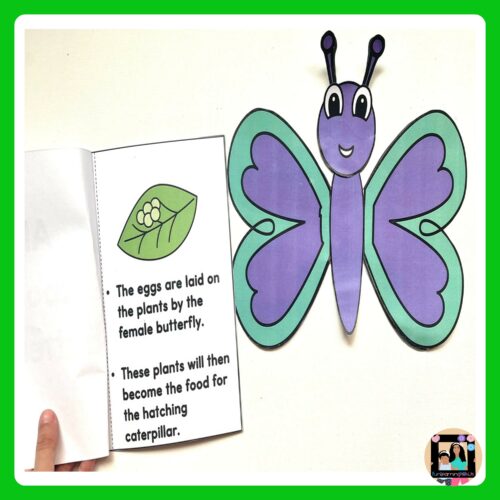 All About Butterfly Life Cycle Craft & Flip Book | Made By Teachers
