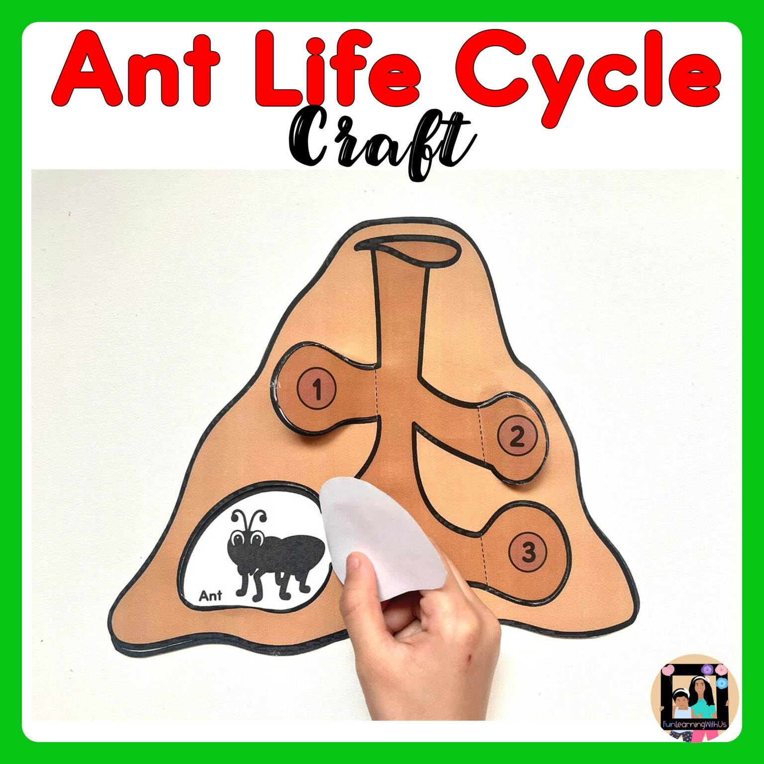 Ant Lifecycle Craft | Made By Teachers