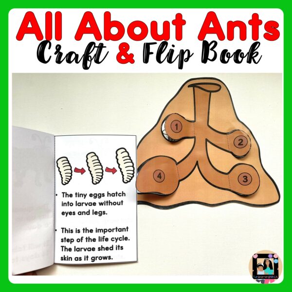 All About Ants - Life Cycle Craft & Flip Book | Made By Teachers