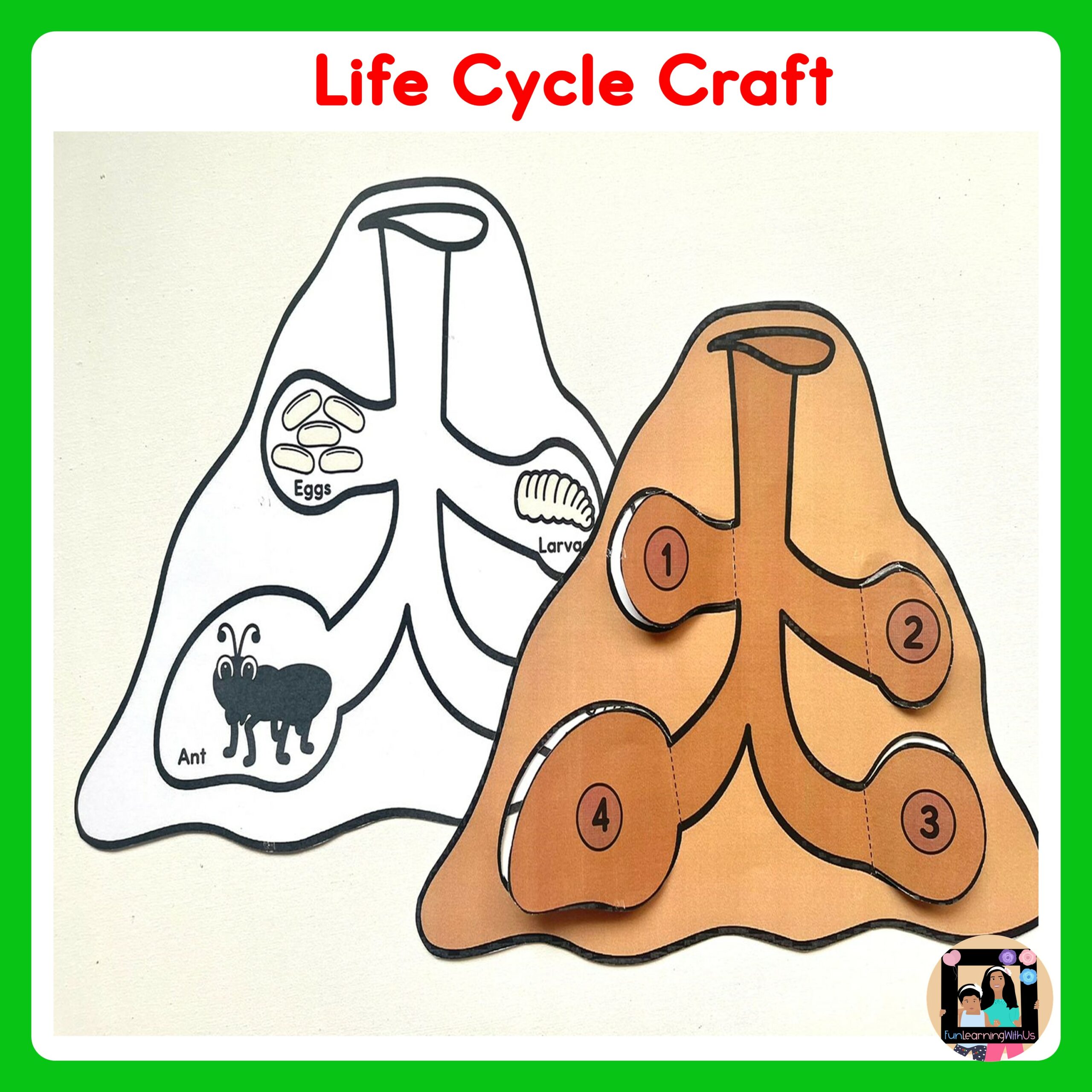 All About Ants - Life Cycle Craft & Flip Book - Made By Teachers