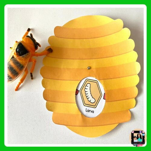 Honey Bee Lifecycle Craft | Spring Activities - Made By Teachers