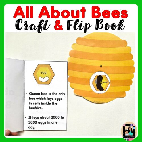 All About Bees Life Cycle Craft & Flip Book | Made By Teachers