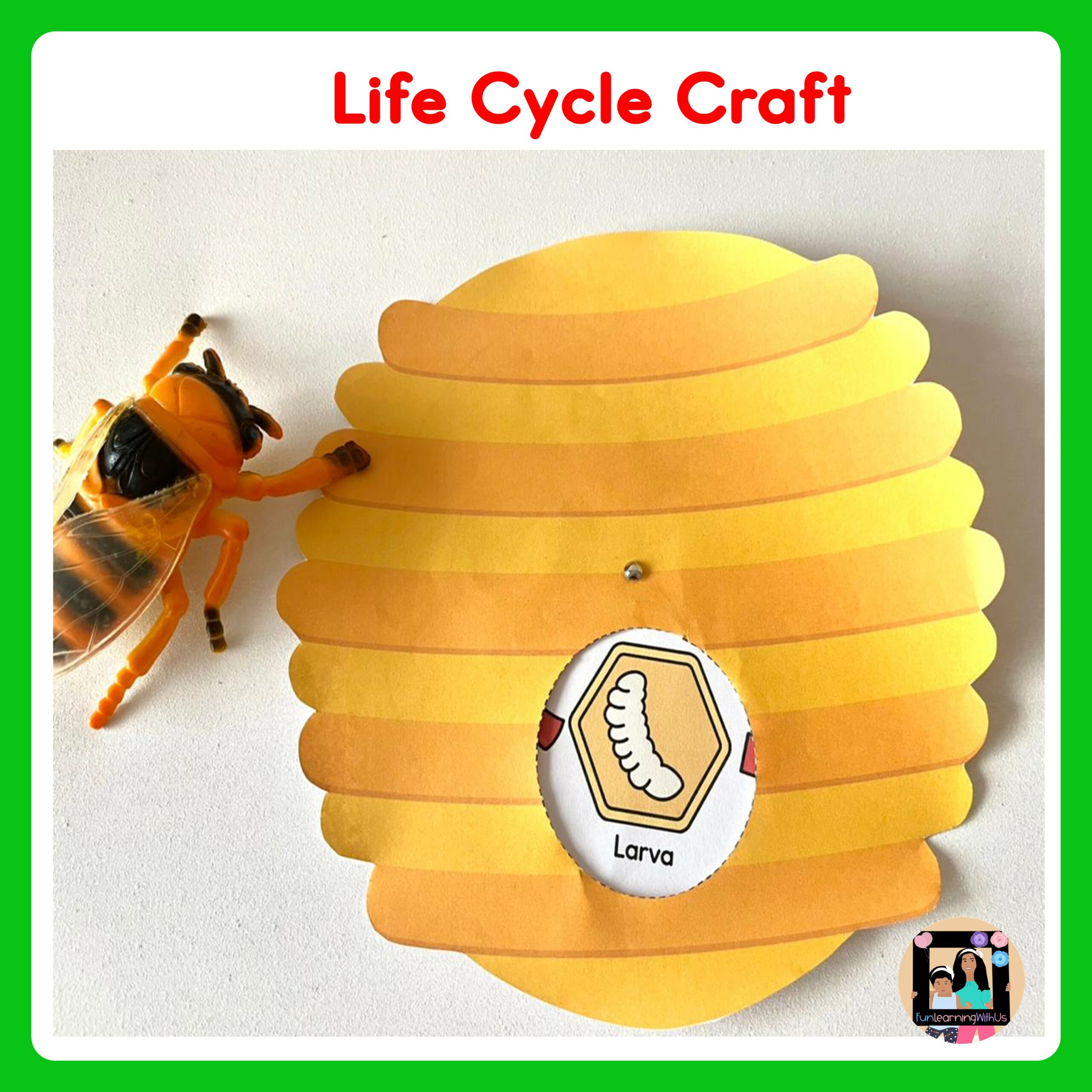 All About Bees Life Cycle Craft & Flip Book | Made By Teachers