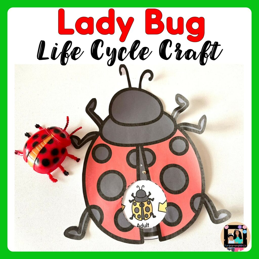 Ants, Butterfly, Bees, Ladybug Life Cycle Craft Bundle | Made By Teachers