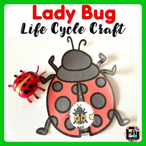 Ants, Butterfly, Bees, Ladybug Life Cycle Craft Bundle | Made By Teachers