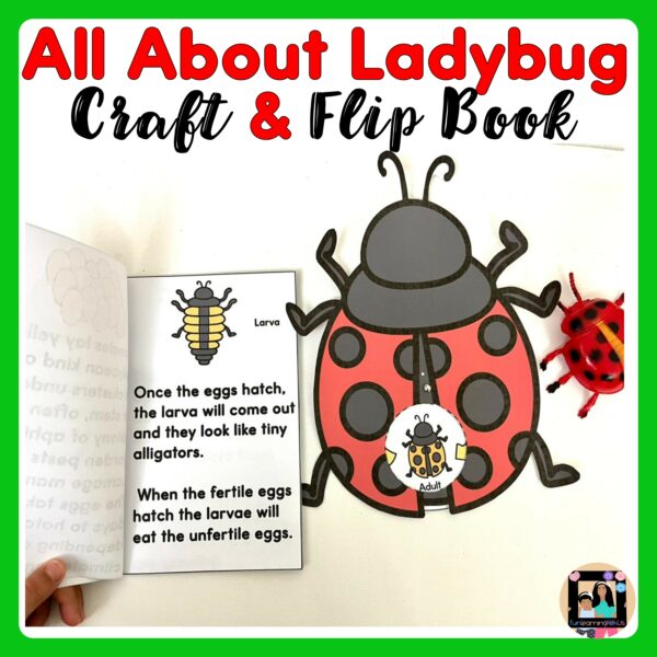 All About Ladybug Life Cycle Craft & Flip Book - Made By Teachers