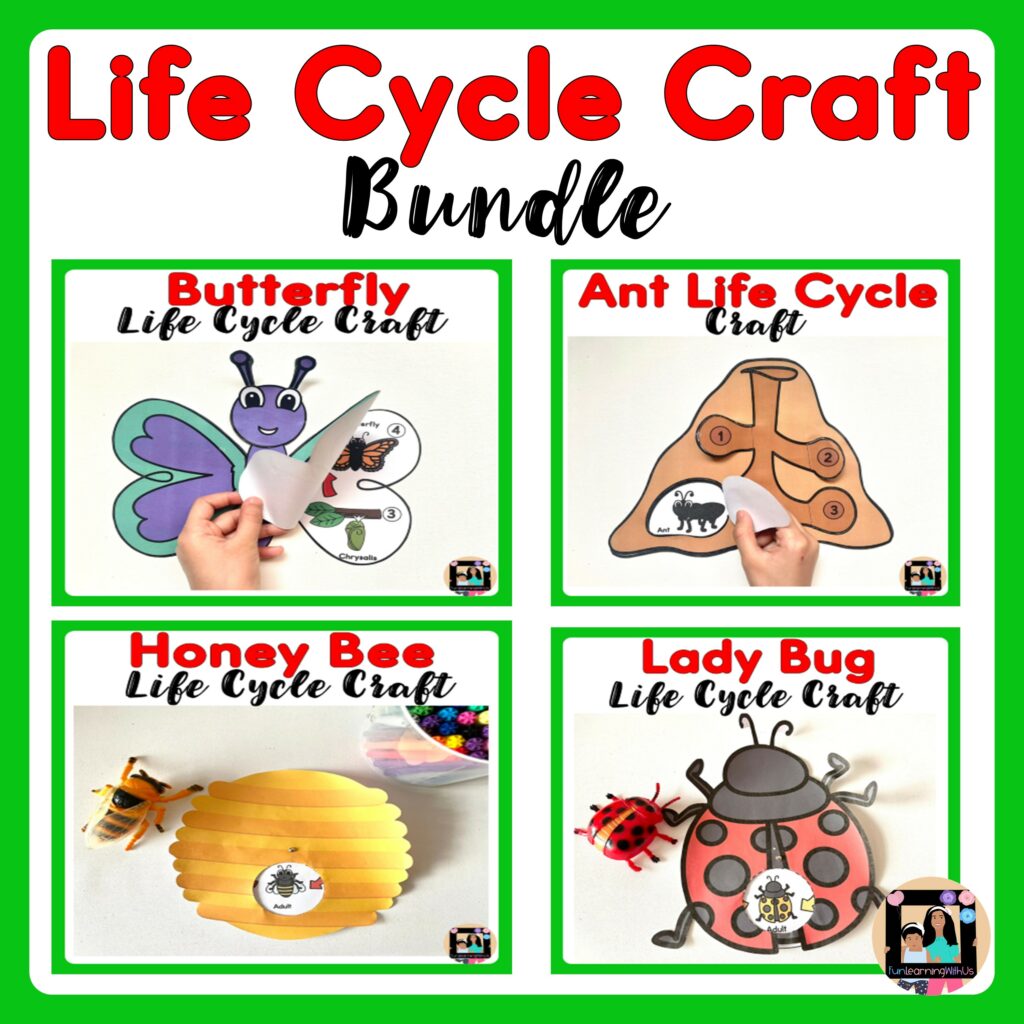 Ants, Butterfly, Bees, Ladybug Life Cycle Craft Bundle | Made By Teachers