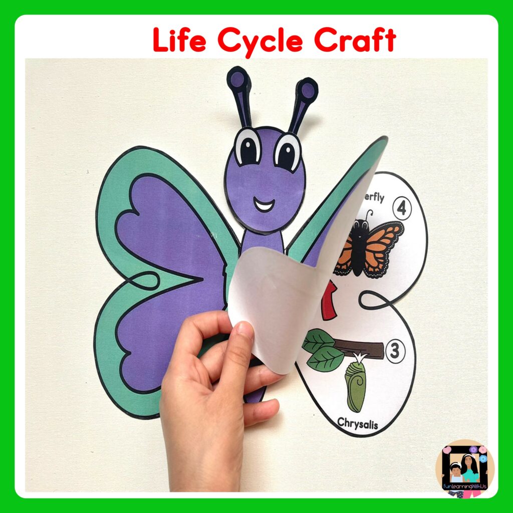 Ants, Butterfly, Bees, Ladybug Life Cycle Craft Bundle - Made By Teachers