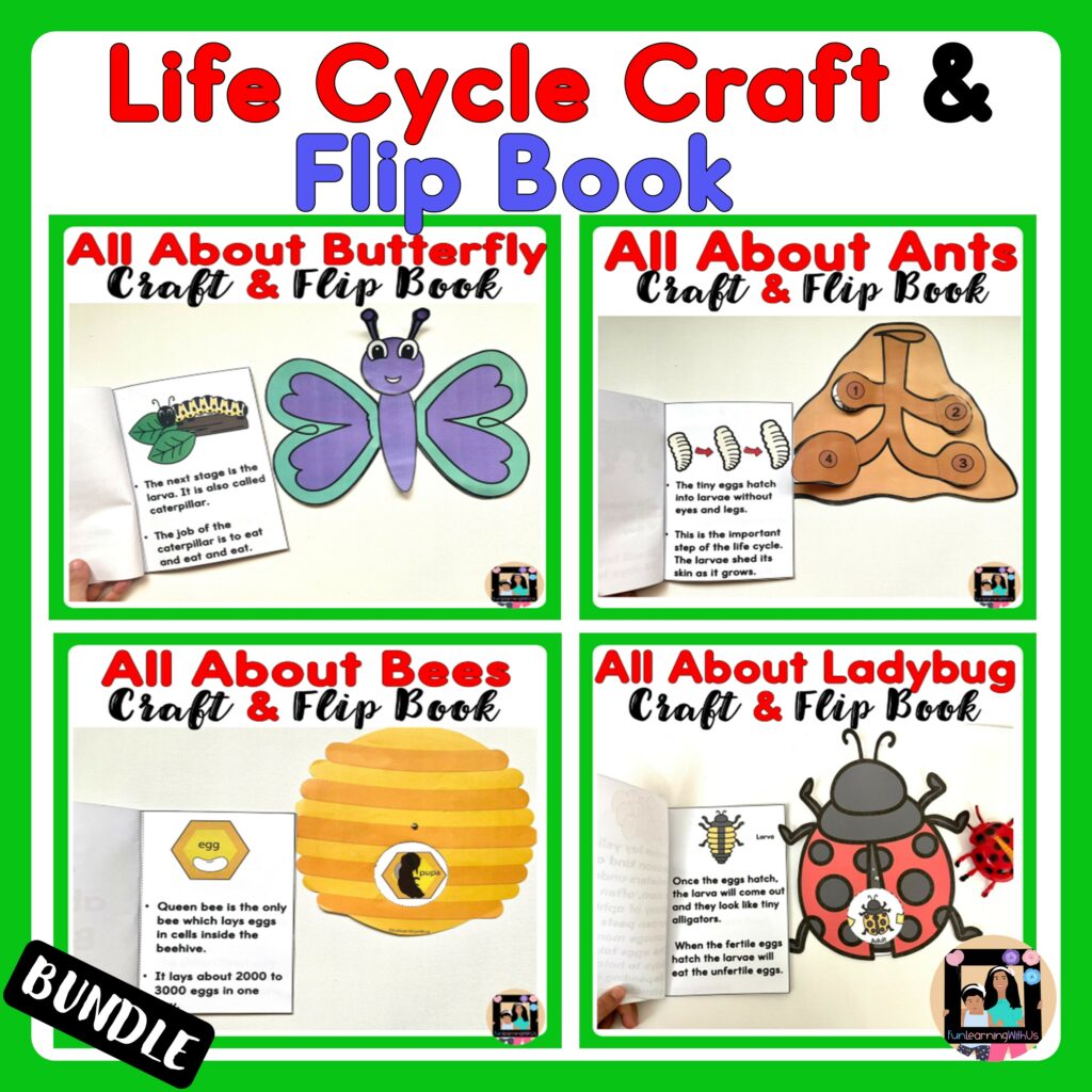 All About Ants Butterfly Bees & Ladybug Lifecycle Craft & Flip Book ...