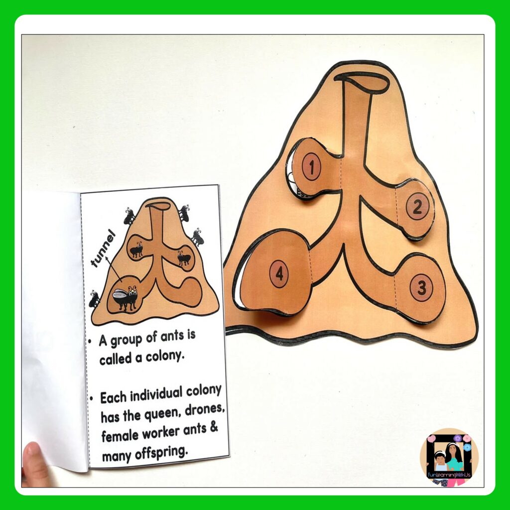 All About Ants Butterfly Bees & Ladybug Lifecycle Craft & Flip Book ...