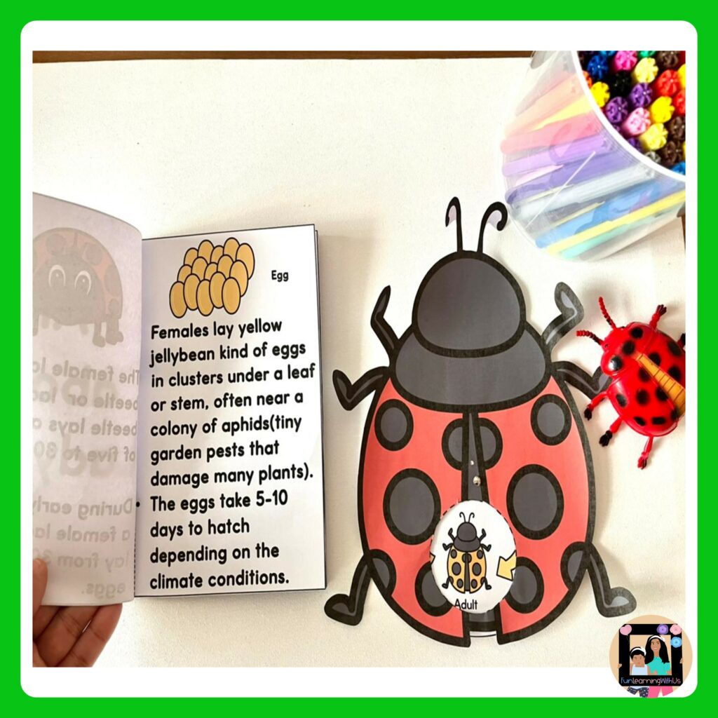 All About Ants Butterfly Bees & Ladybug Lifecycle Craft & Flip Book ...