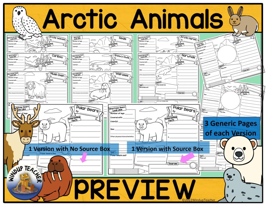 Arctic Animal Research Activity - Made By Teachers