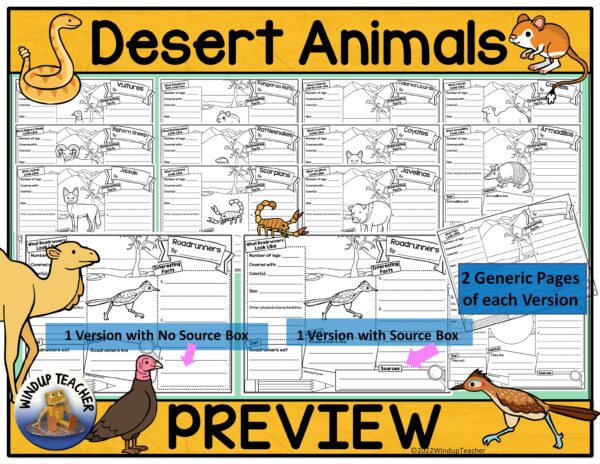 Desert Animal Research Activity | Made By Teachers
