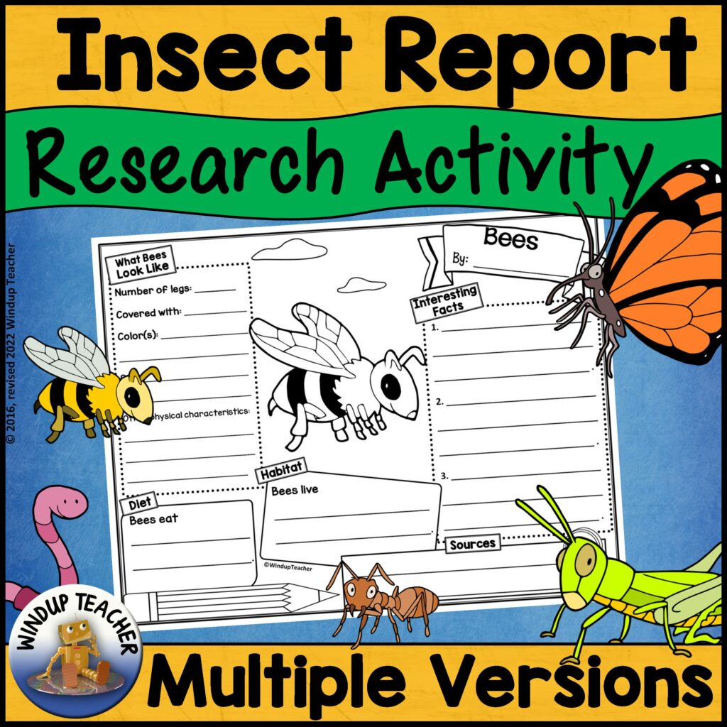 Insects and Bugs Research Activity - Made By Teachers