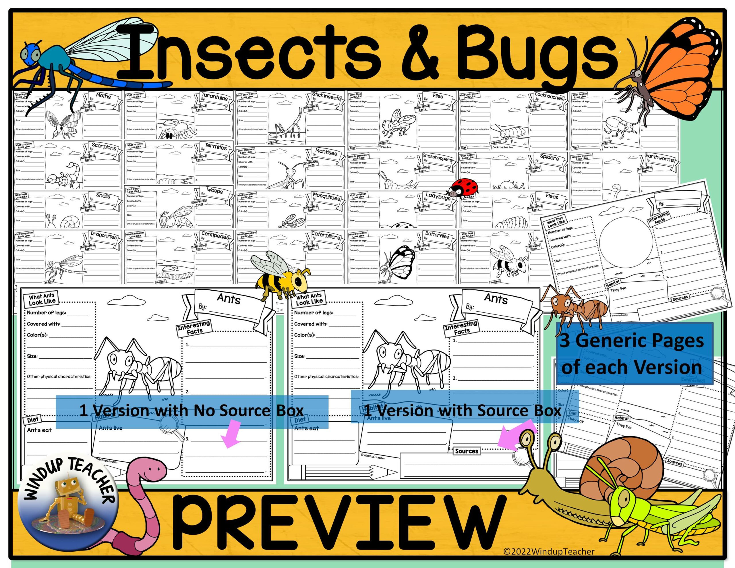 Insects and Bugs Research Activity | Made By Teachers