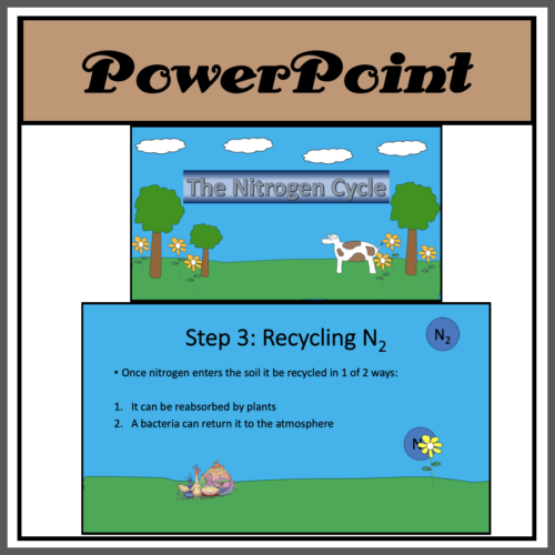 The Nitrogen Cycle Interactive PowerPoint - Made By Teachers