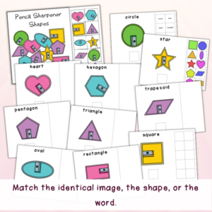 Back to School Adapted Books for August - Made By Teachers