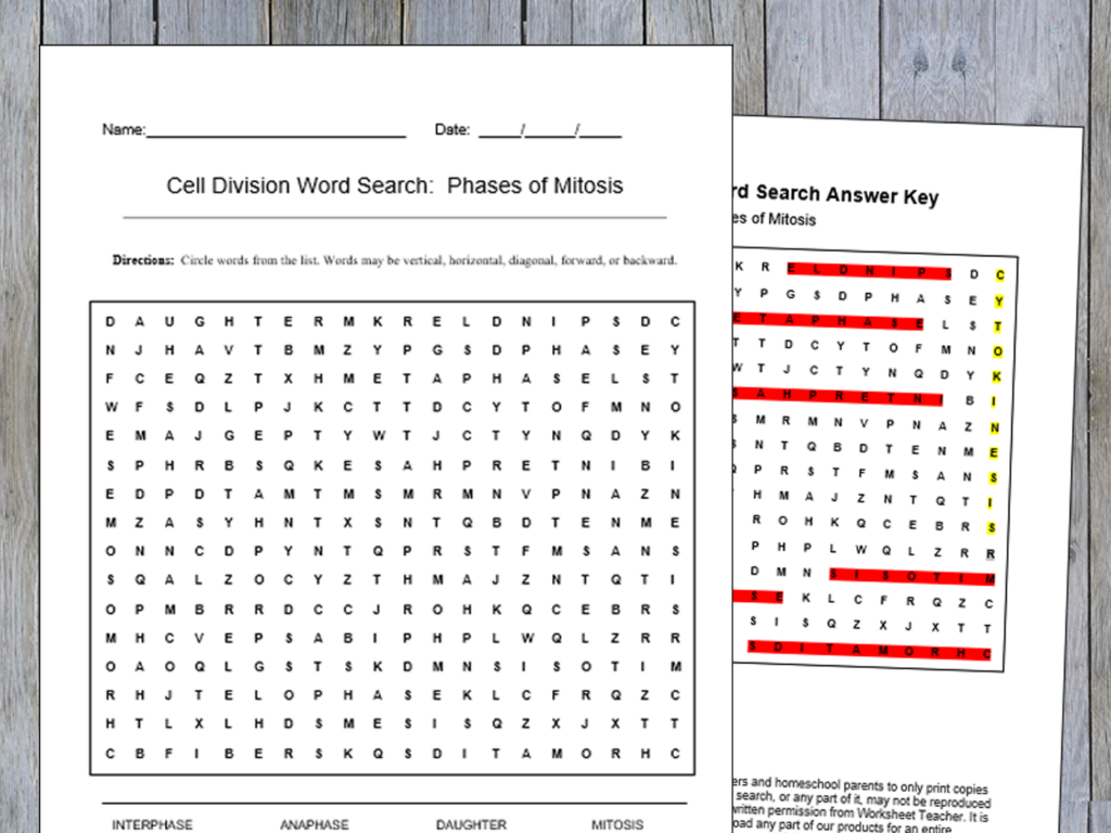 Homeschool Worksheets and Activities - Made By Teachers