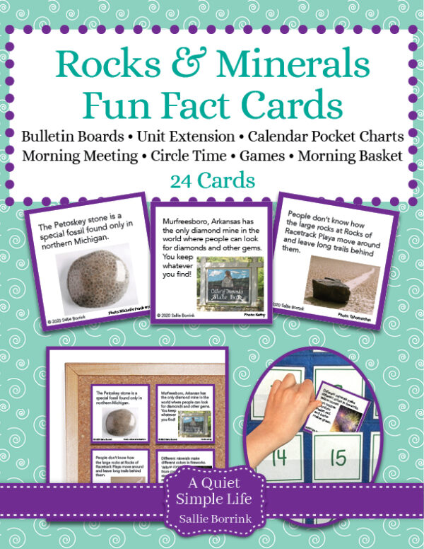 Fun Fact Cards - Made By Teachers