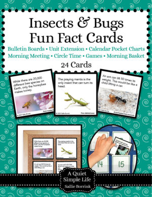 Fun Fact Cards - Made By Teachers