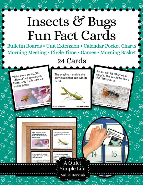 Fun Fact Cards - Made By Teachers
