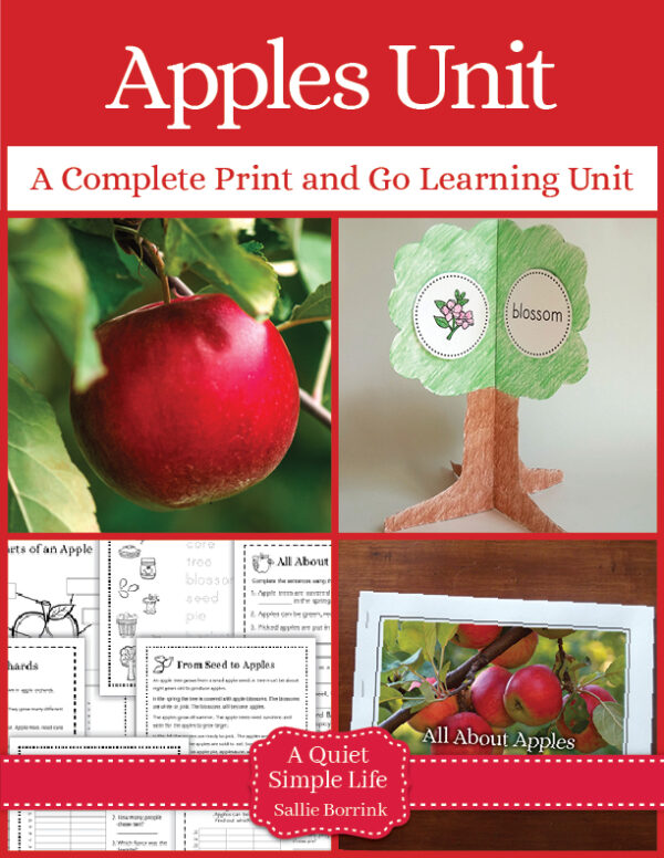 Teaching Resources | Printable Worksheets - Made By Teachers