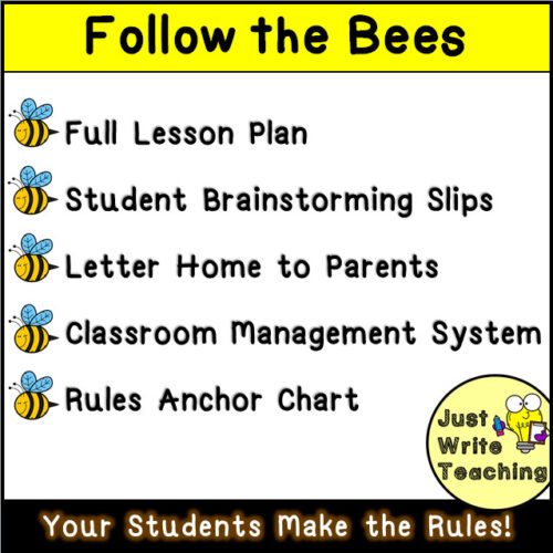 Creating Classroom Rules Full Lesson Plan | Made By Teachers
