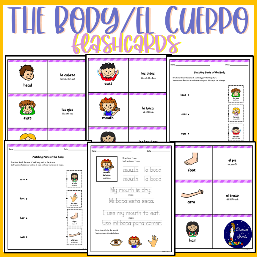 The Body El Cuerpo Flashcards - Made By Teachers