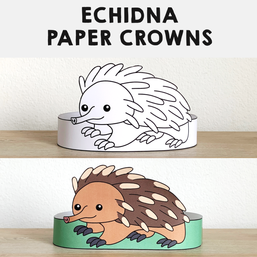 Echidna Paper Crowns Australian Animal Headband Printable Coloring ...