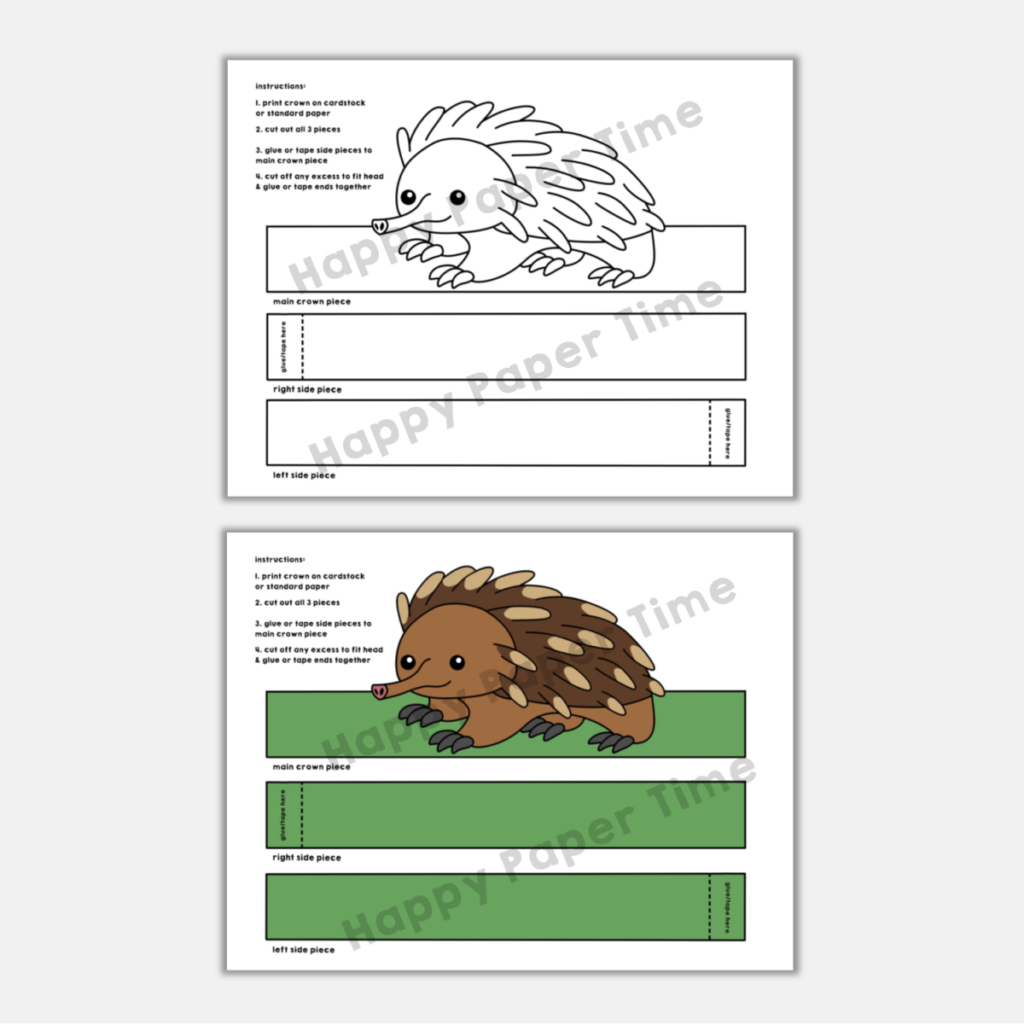 Echidna Paper Crowns Australian Animal Headband Printable Coloring ...