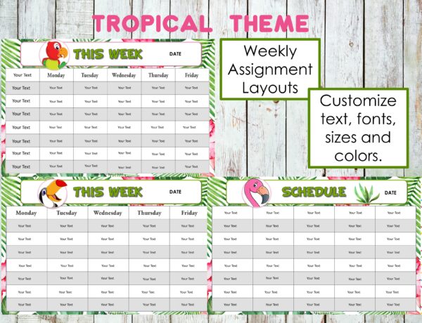 Digital Morning Meeting Slides and Work Assignment Slides in Tropical ...