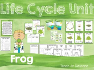 Life Cycle of a Frog Science Curriculum Unit. - Made By Teachers