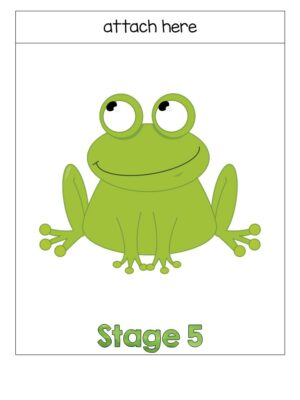 Life Cycle of a Frog Science Curriculum Unit. - Made By Teachers