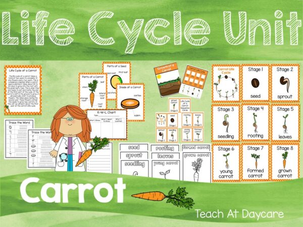Life Cycle of a Carrot Science Curriculum Unit. | Made By Teachers