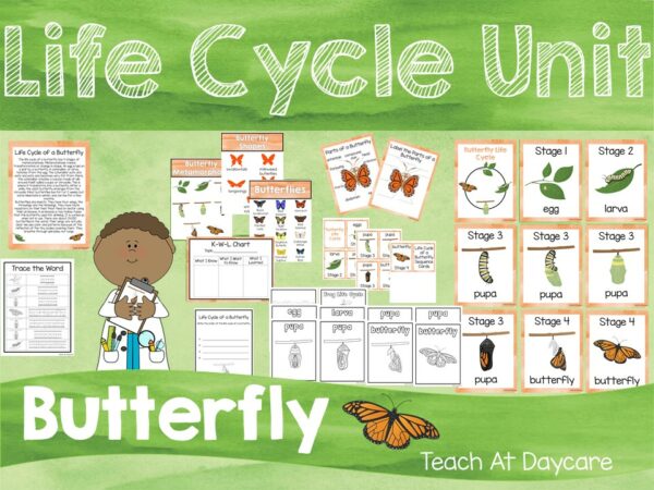 Life Cycle of a Butterfly Science Curriculum Unit. | Made By Teachers