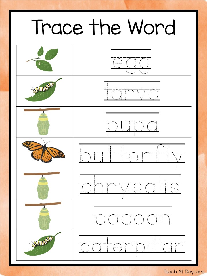Life Cycle of a Butterfly Science Curriculum Unit. | Made By Teachers