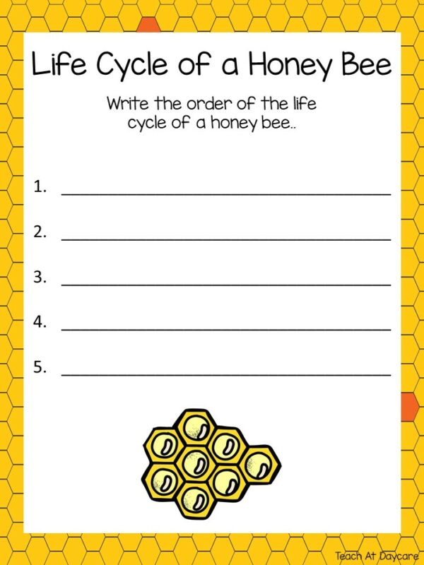 Life Cycle of a Honey Bee Science Curriculum Unit. | Made By Teachers