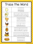 Life Cycle of a Chicken Science Curriculum Unit. - Made By Teachers