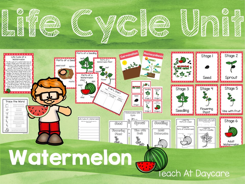 Life Cycle of a Watermelon Science Curriculum Unit. - Made By Teachers