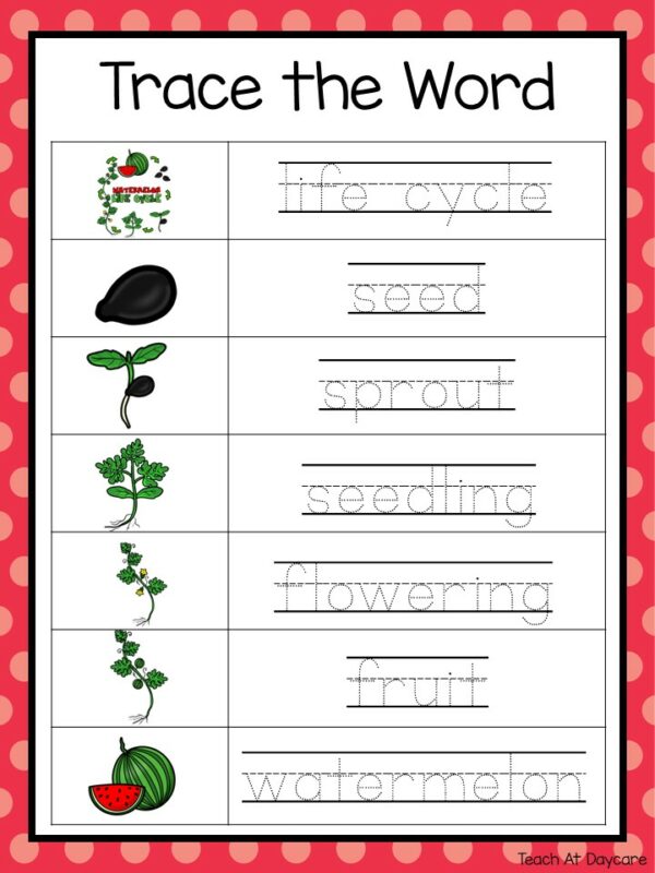 Life Cycle of a Watermelon Science Curriculum Unit. | Made By Teachers
