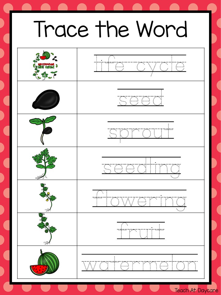 Life Cycle of a Watermelon Science Curriculum Unit. | Made By Teachers