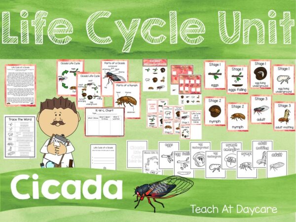 Life Cycle of a Cicada Science Curriculum Unit. - Made By Teachers