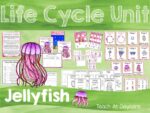 Life Cycle of a Jellyfish Science Curriculum Unit. | Made By Teachers