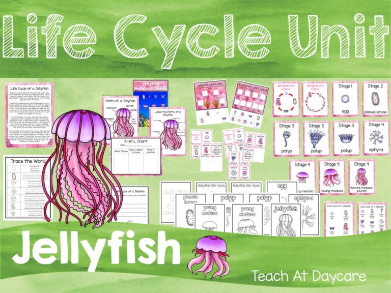 Life Cycle of a Jellyfish Science Curriculum Unit. - Made By Teachers
