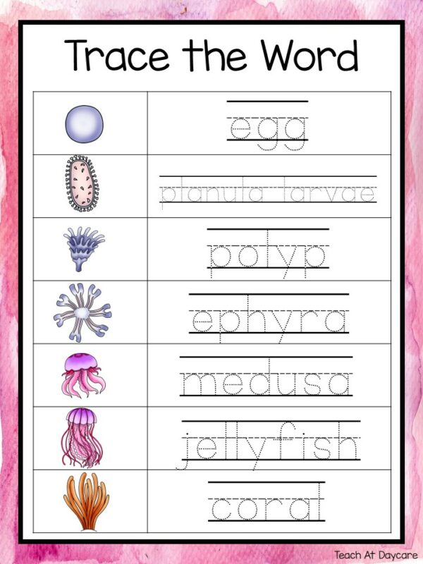 Life Cycle of a Jellyfish Science Curriculum Unit. | Made By Teachers