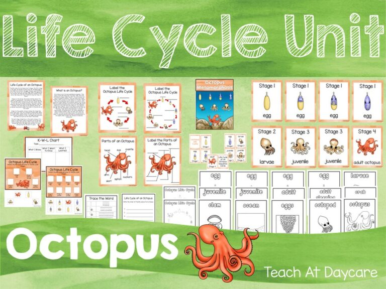 Life Cycle of a Octopus Science Curriculum Unit. | Made By Teachers