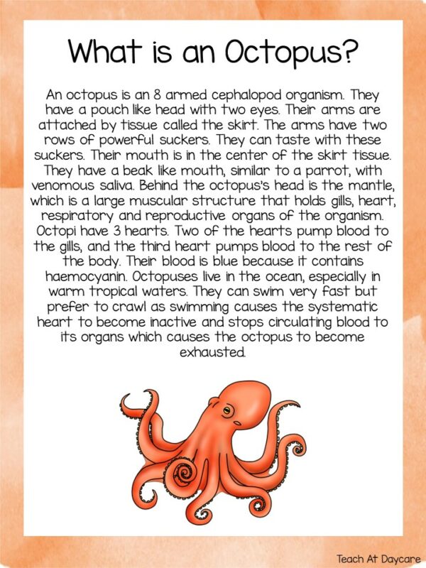 Life Cycle of a Octopus Science Curriculum Unit. - Made By Teachers