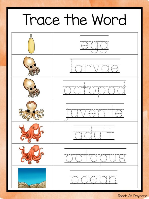 Life Cycle of a Octopus Science Curriculum Unit. - Made By Teachers